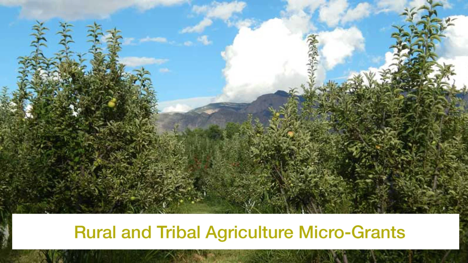 Rural and Tribal Micro-Grant Application Information – Farm to Table